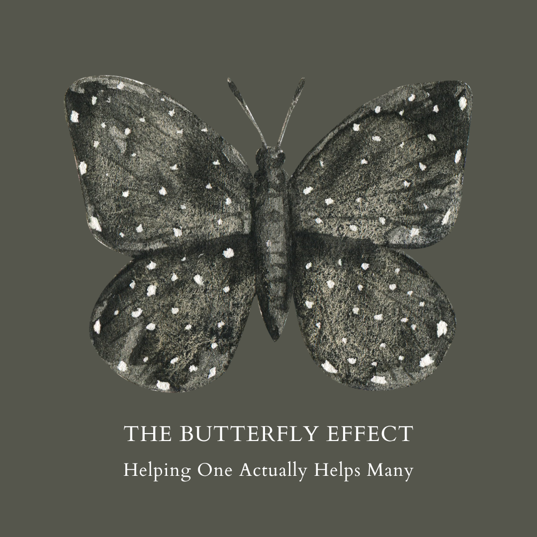The Butterfly Effect - Nantahala Health Foundation